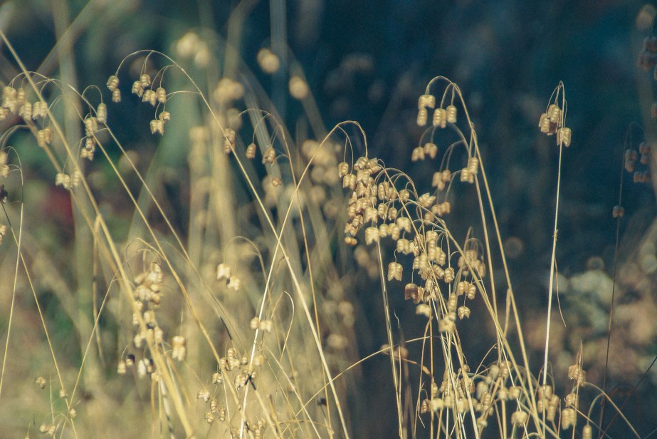 Nature shots – Ritva Sillanmäki Photography