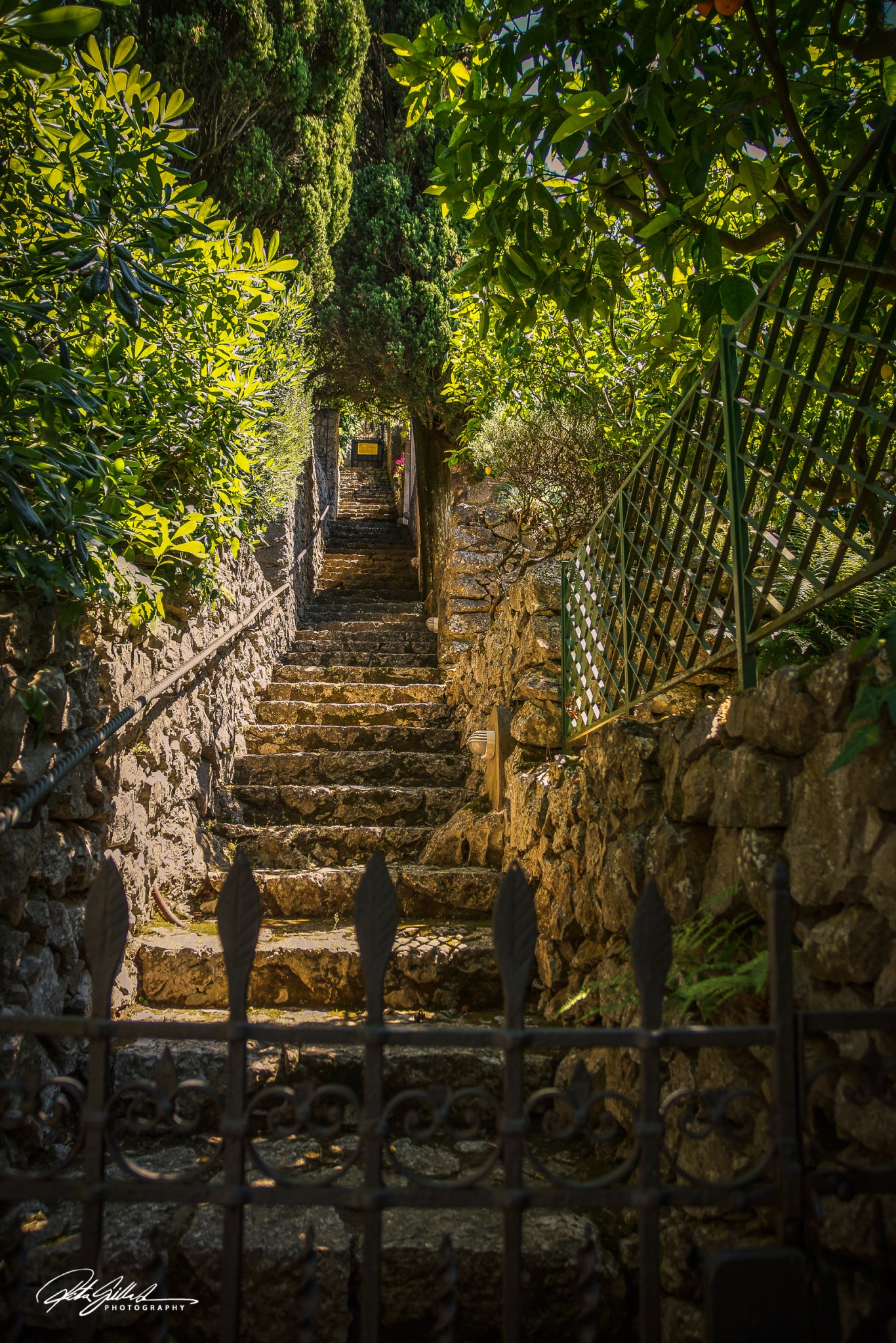 Framing Your Shots: Exploring the Foreground, Middle Ground, and ...