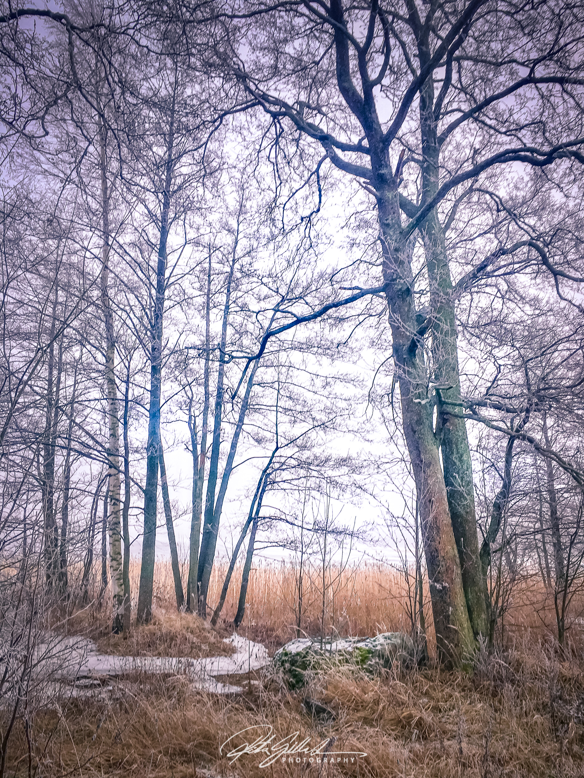 What winter looks like – Ritva Sillanmäki Photography