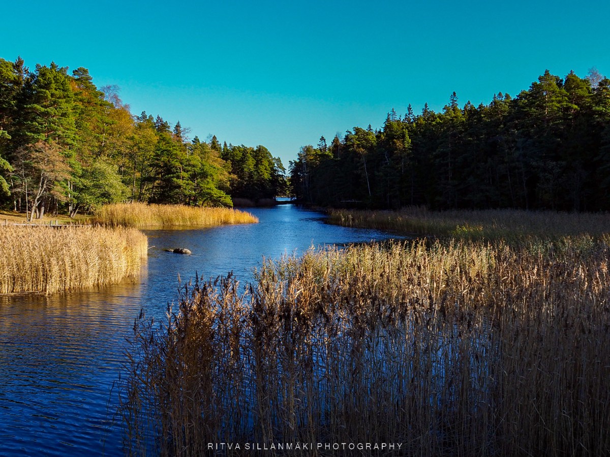 Inlet in Porkkala – Ritva Sillanmäki Photography