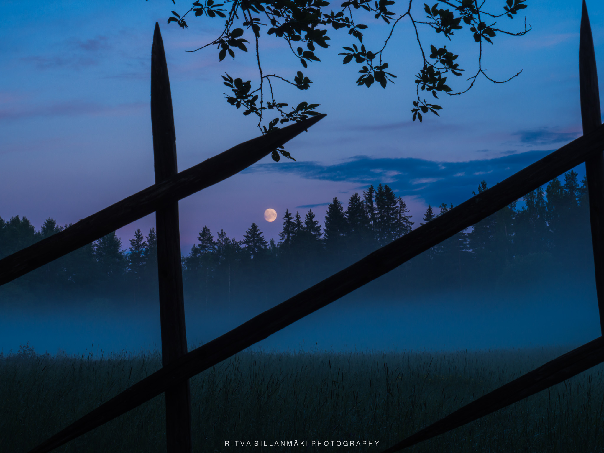 Capturing the Ethereal Beauty of the Strawberry Moon – Ritva Sillanmäki ...