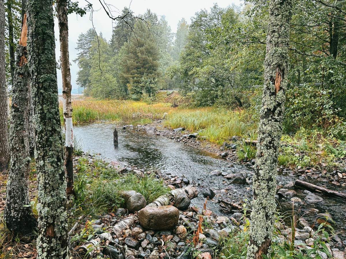 Lens-Artists Challenge #316 – Destination: Fun – Ritva Sillanmäki ...