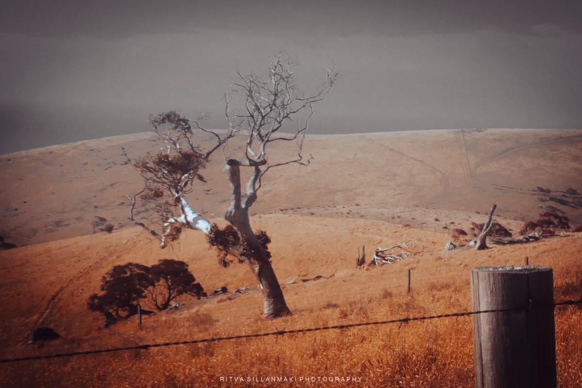 Exploring Artistic Variations of a South Australian Landscape – Ritva ...
