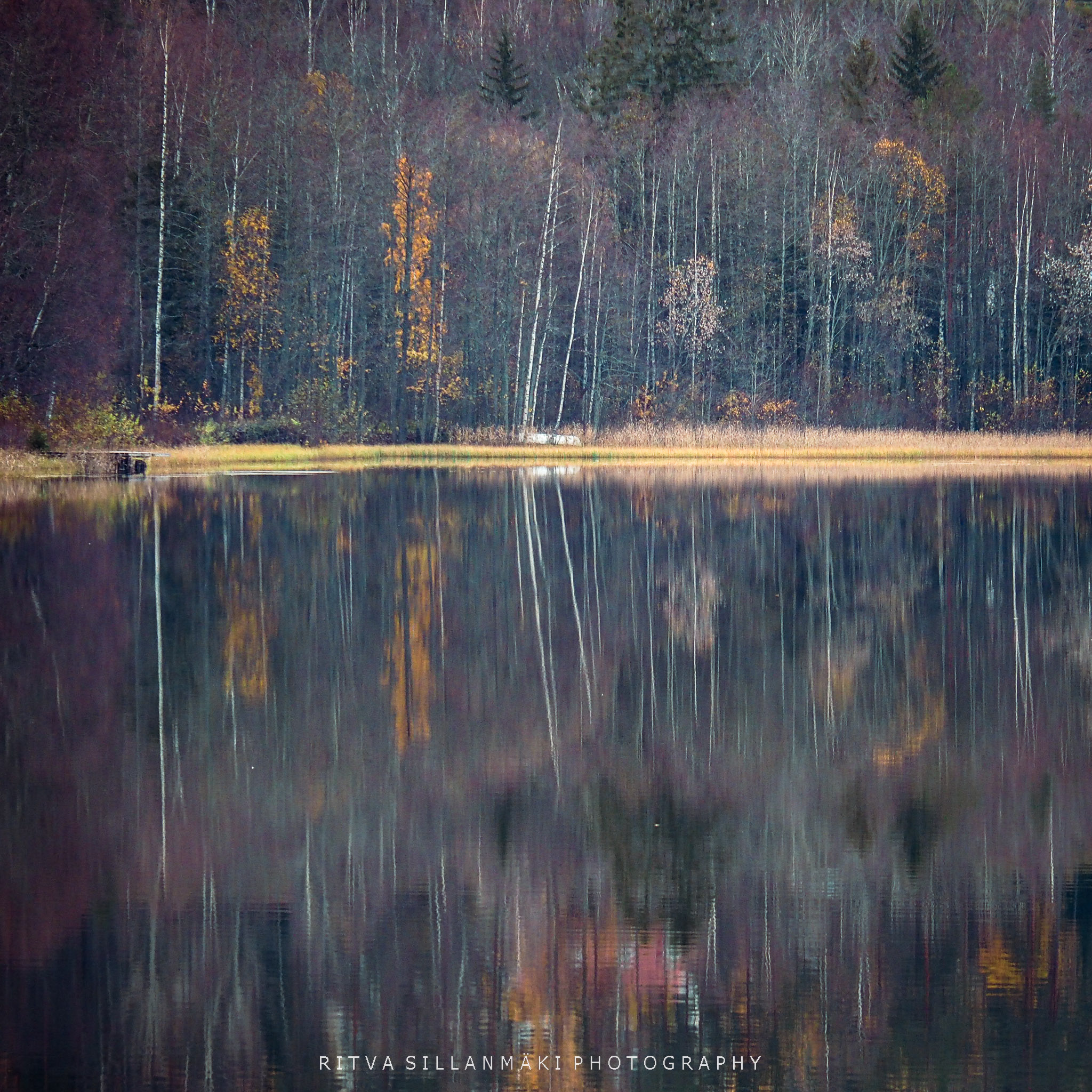 Gloomy Yet Vibrant, Autumn Reflections – Ritva Sillanmäki Photography