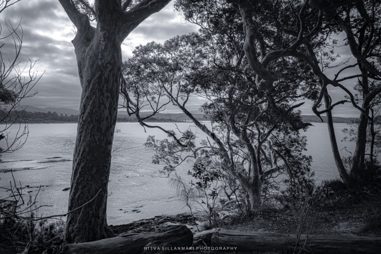 Monochrome Photography of Snapper Island – Ritva Sillanmäki Photography