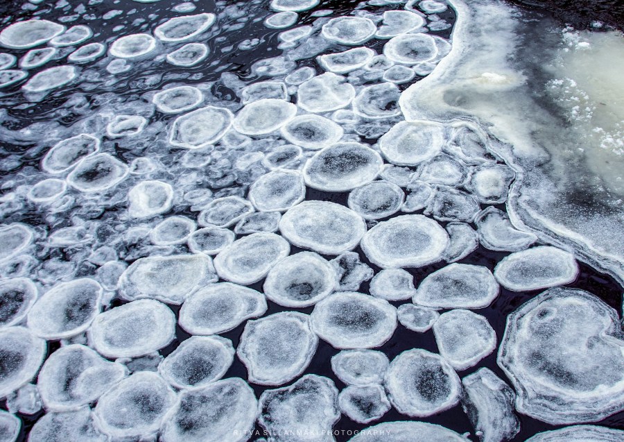 nature’s Winter Art – Pancake Ice – Ritva Sillanmäki Photography
