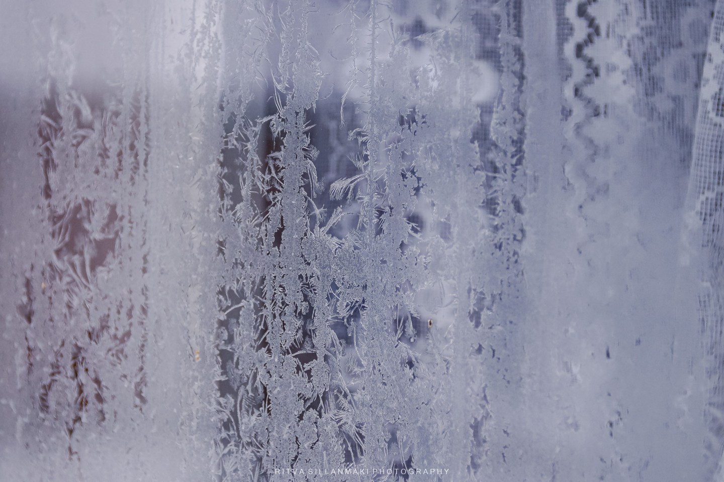 Winter Frost Flowers – Ritva Sillanmäki Photography