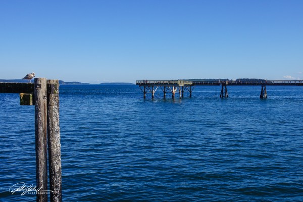 The Charm of Sidney’s Fish Market and Surroundings – Ritva Sillanmäki ...