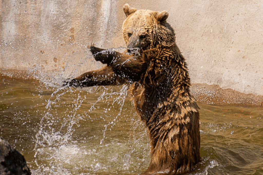 Hey, look how cute I am! – Ritva Sillanmäki Photography